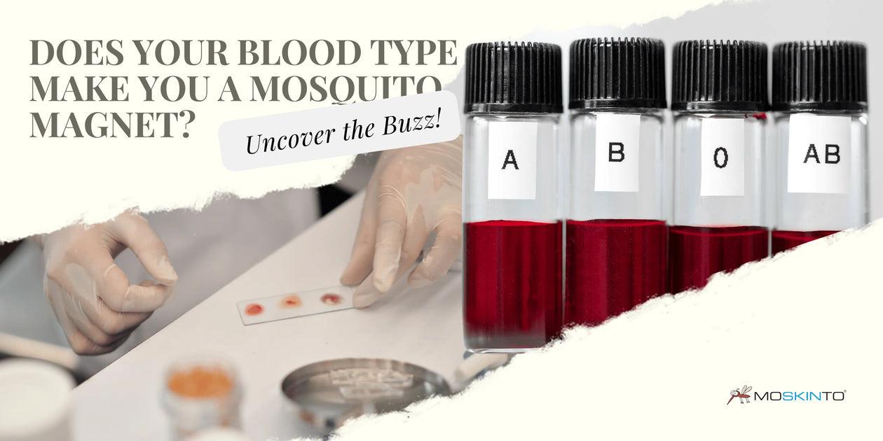 Does Your Blood Type Make You a Mosquito Magnet? Uncover the Buzz ...