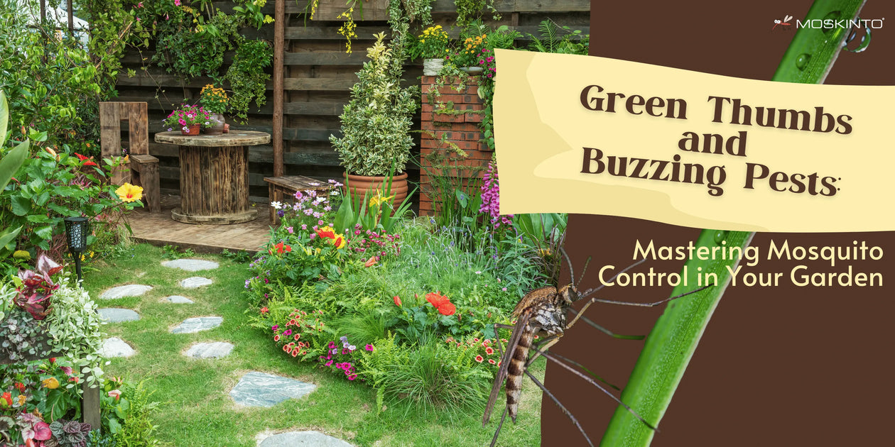 Green Thumbs and Buzzing Pests: Mastering Mosquito Control in Your Gar ...